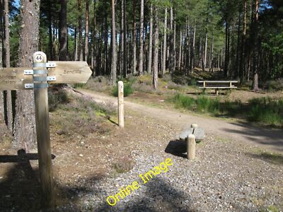 Photo 6x4 Junction marker post number 44 Cloddymoss c2012 | eBay UK