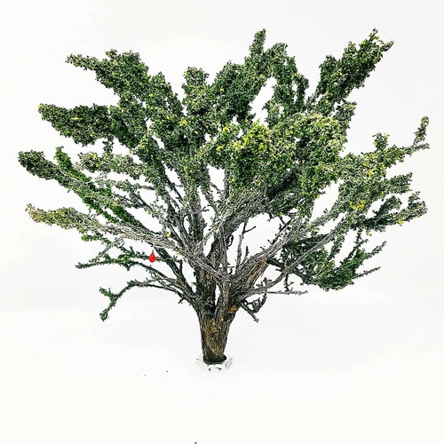 6 7" SAGEBRUSH HO Scale Model Railroad Train Scenery TREES ARMATURES ...