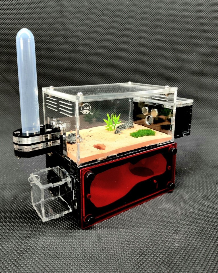 Ant tank/Ant farm - Stand Nest H02 - Full Option - New Version | eBay