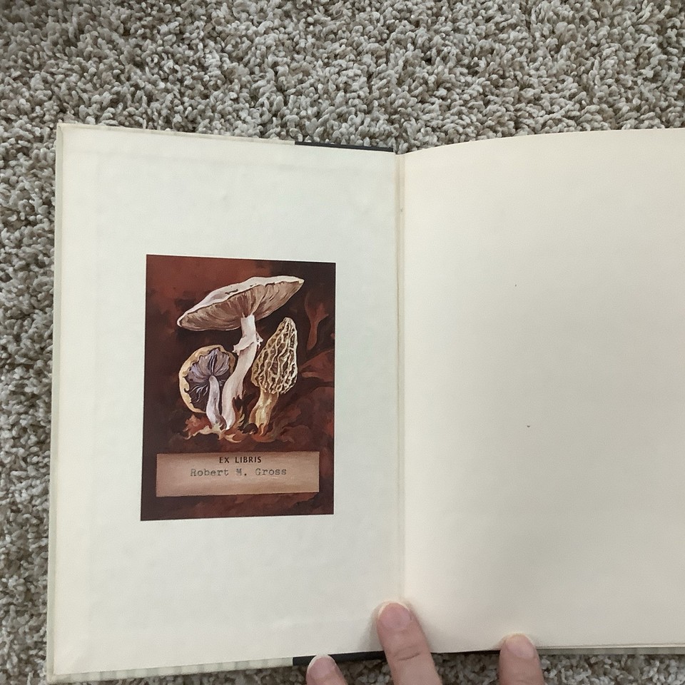 A Grief Observed by CS Lewis; Seabury Press 1961 (6th Printing) | eBay