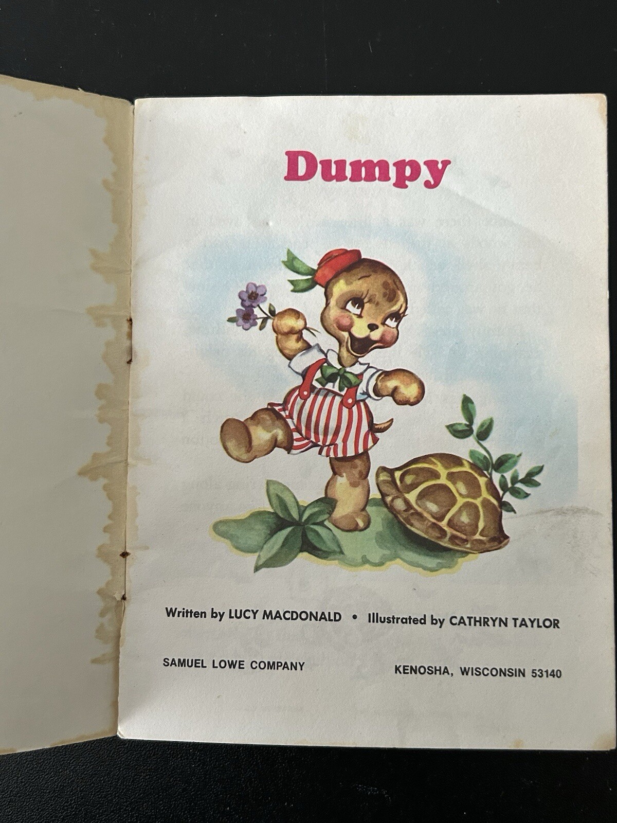 Vintage 1970 Dumpy Book Lucy MacDonald Sunny Books PB Fair | eBay
