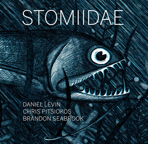 DANIEL LEVIN / CHRIS PITSIOKOS / BRANDON SEABROOK - STOMIIDAE - Dark ...