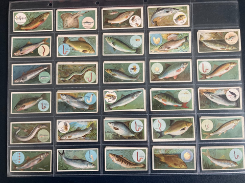 cigarette cards fish & bait full set 1910 | eBay UK