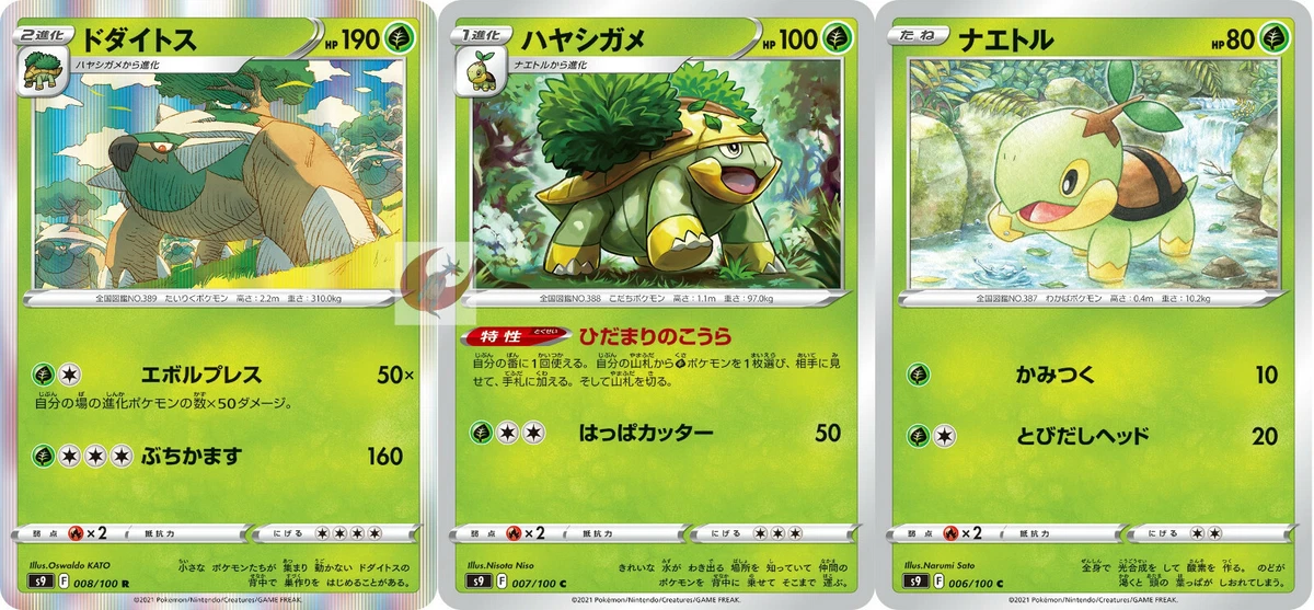 Torterra Evolution
