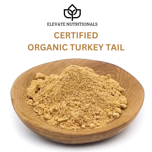 CERTIFIED ORGANIC TURKEY TAIL POWDER MUSHROOM 350 GMS ELEVATE NUTRITIONALS | eBay