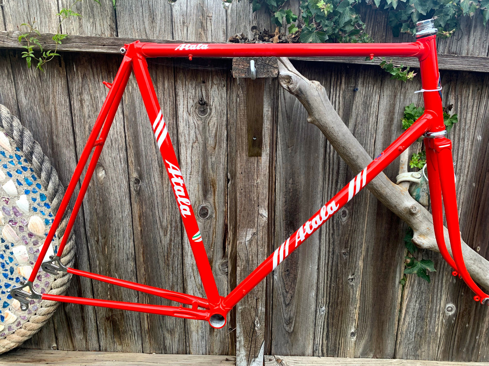 62cm Atala Record vintage steel frame-set - Refinished + extras | eBay