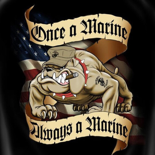 Usmc Devil Dog Logo