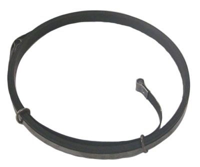 1976-2005 Johnson / Evinrude 20-35 HP Rewind Spring | 341-100 0307573 ...