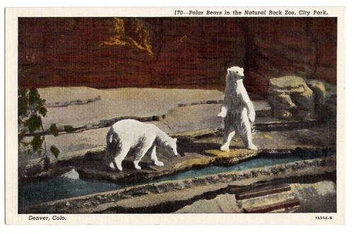 1940s Polar Bears Natural Rock Zoo City Park Denver CO Linen Postcard ...