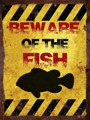 Beware of the fish - Vintage Metal Wall Sign | eBay