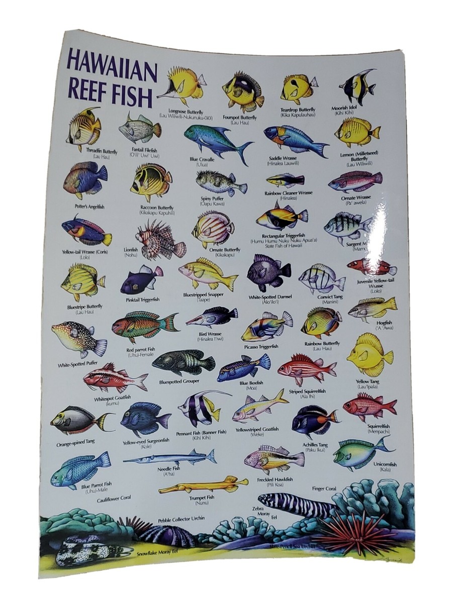 Hawaiian Reef Fish Names