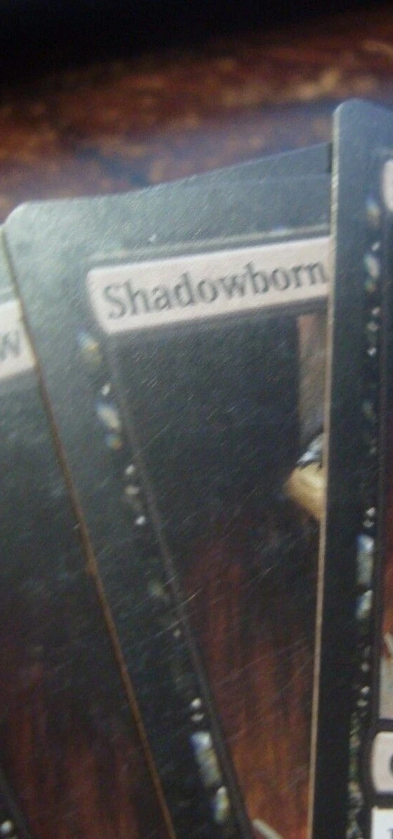 Shadowborn Demon