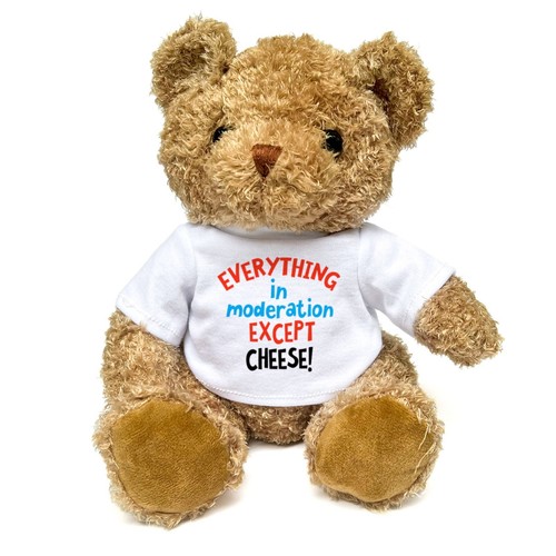 NEW - EVERYTHING IN MODERATION EXCEPT CHEESE! - Teddy Bear - Funny Gift ...