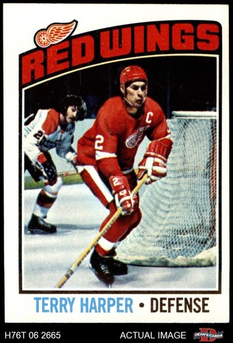 1976 Topps #262 Terry Harper Red Wings 6 - EX/MT | eBay
