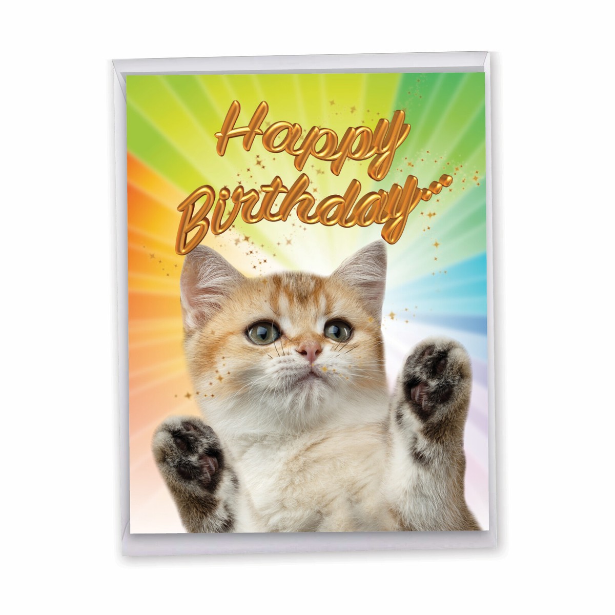 Grab Hold Of The Stunning Funny Cat Pictures Happy Funny Cat And Dog