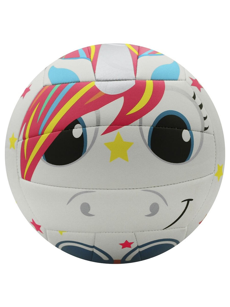 Pig With Molten Volleyball