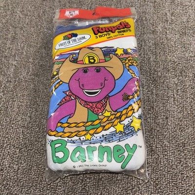 RARE New Barney Funpals Fruit of the Loom 3 Pack Boys Briefs SIZE 8 90s ...