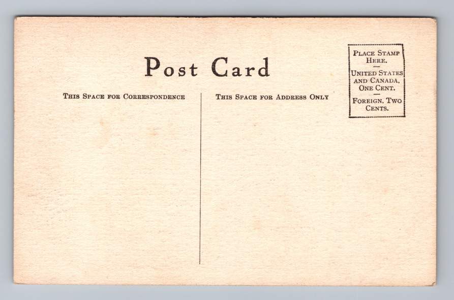 "Beef Cattle" Union Stock Yards CHICAGO Antique Swift Collotype ...