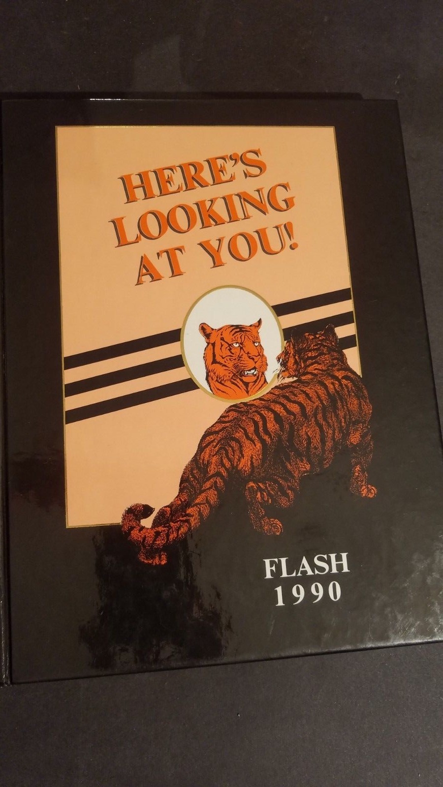 1990 BRENTSVILLE DISTRICT HIGH SCHOOL YEARBOOK, THE FLASH, NOKESVILLE ...