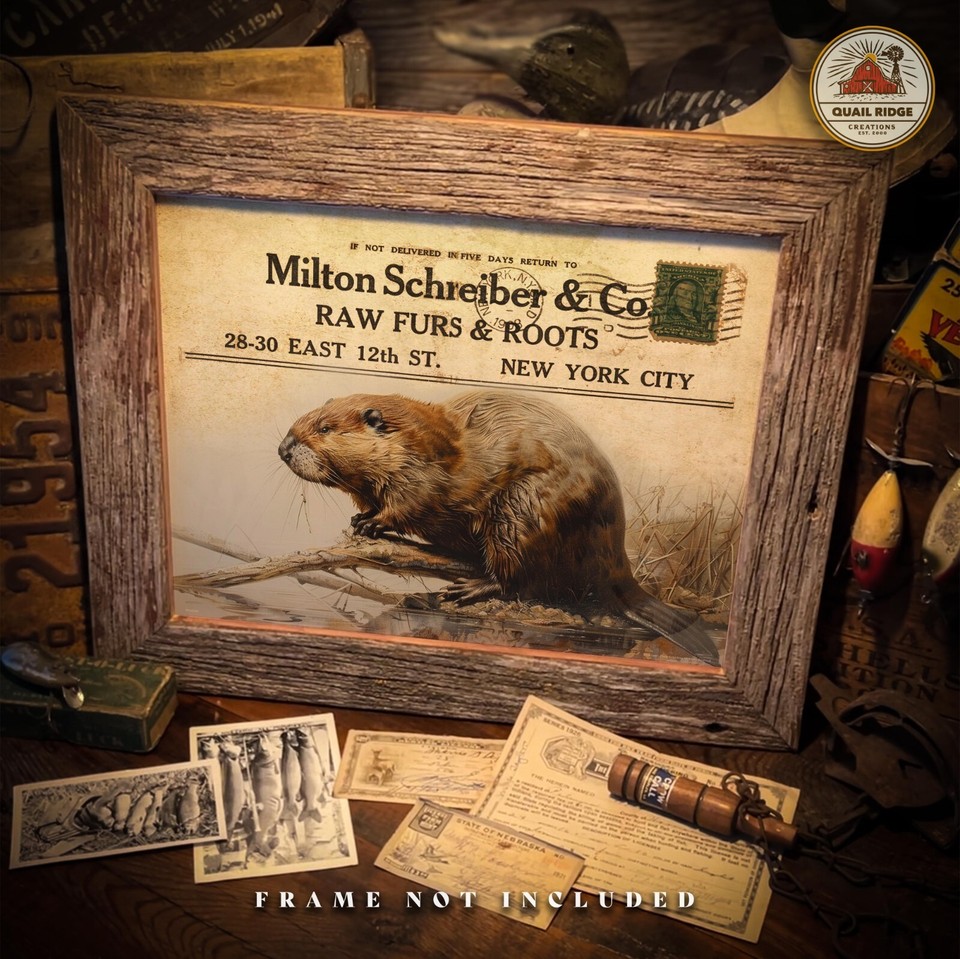 Vintage Beaver Fur Trapping Catalog Art Print Hunting Cabin Decor ...