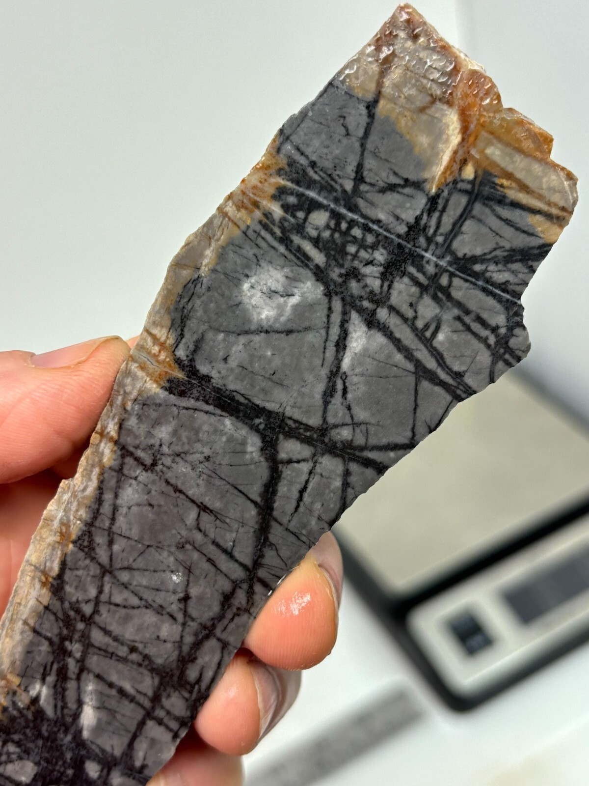 Picasso Marble (Jasper) Slab Cabbing Lapidary Utah Combo Ship Avail | eBay