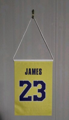 LeBron James Los Angeles Lakers 8x5.5 Inch Banner Flag | eBay