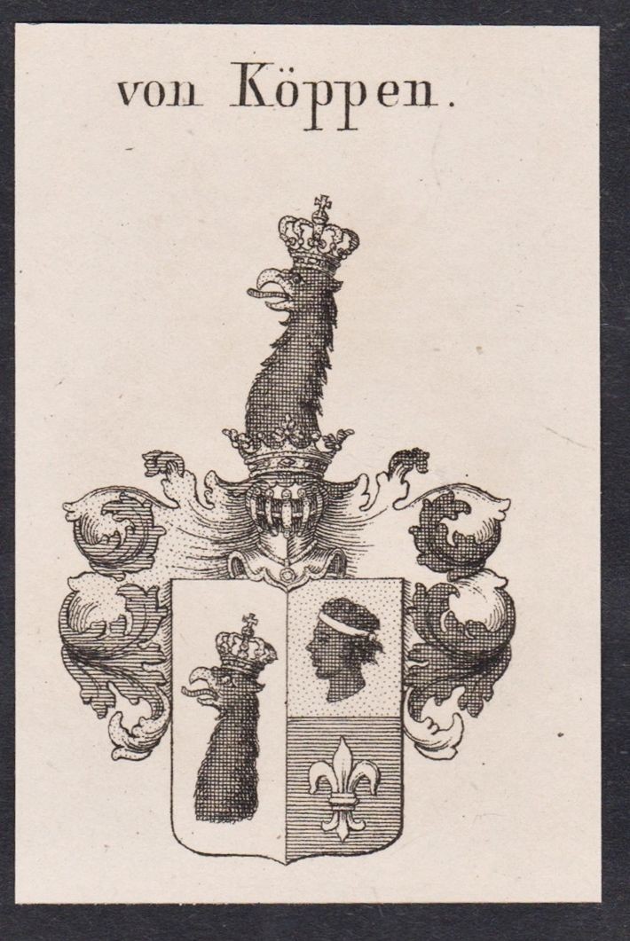Köppen Coat of Arms Heraldry Genealogy Copperplate Engraving 1820 | eBay UK