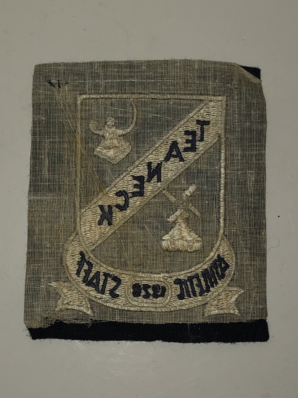 Vintage TEANECK New Jersey Athletic Staff 1928 PATCH Windmill Lamp ...