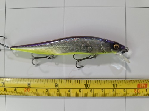 MEGABASS YUKI ITO VISION 110 JR FISHING LURE ELEGY BONE | eBay