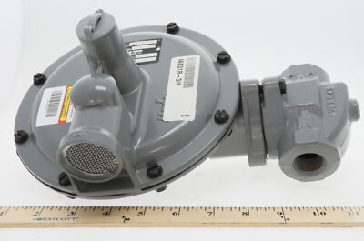 Itron-Actaris B31R-3/4 3/4IRV,1/2Orif,4-9GraySprng | eBay