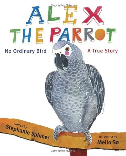 ALEX THE PARROT: NO ORDINARY BIRD: A TRUE STORY By Stephanie Spinner ...