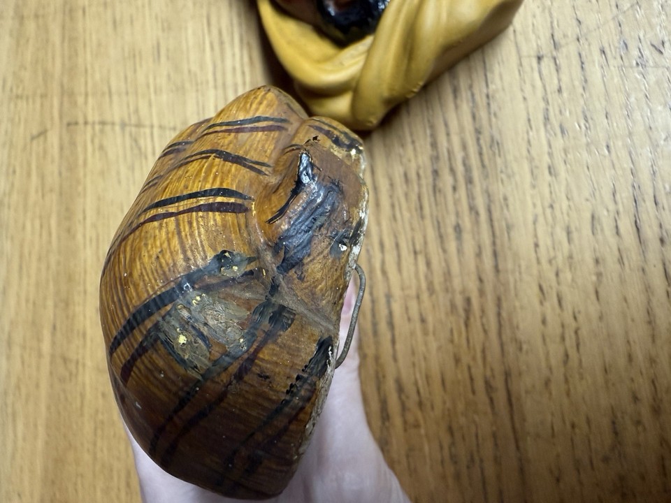 BOSSONS INDIAN TURK x 2 CHALKWARE HEADS WALL FACE MASKS VINTAGE | eBay