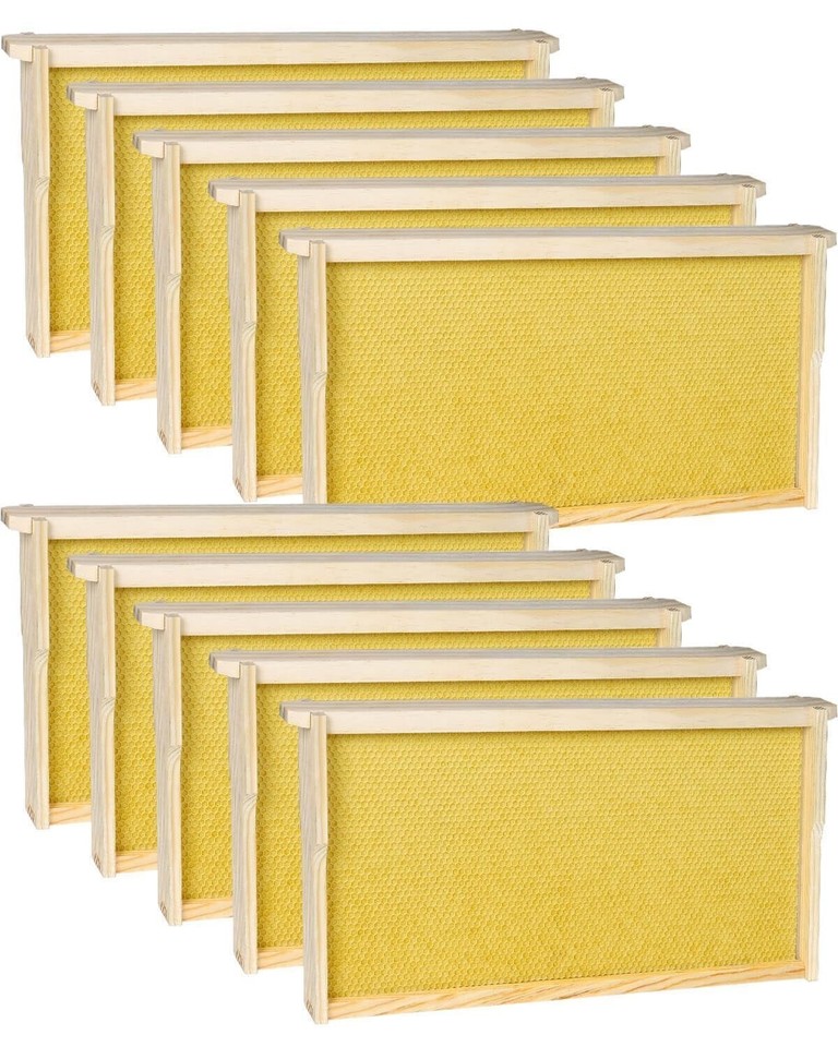 10 Pack Bee Frames Deep - Bee Hive Frames and Wax Foundations Yellow ...