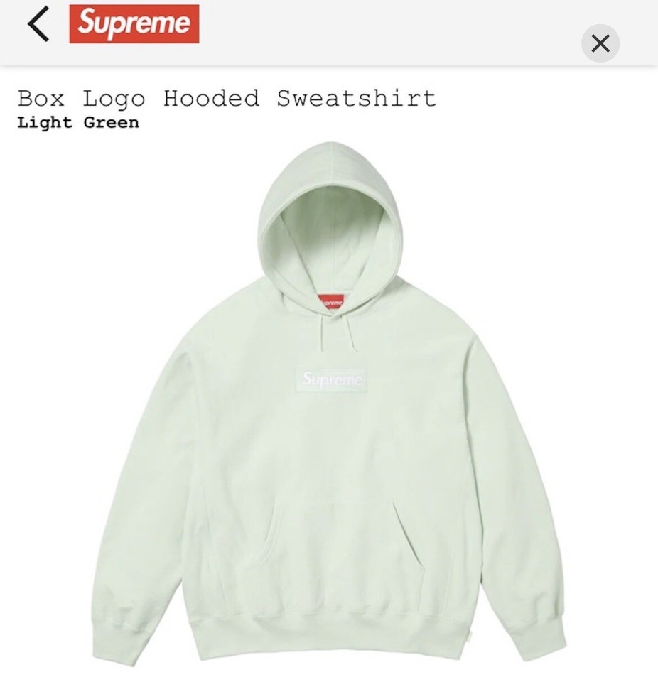 Brand New Supreme Box Logo BOGO Light Green Hoodie Size S FW23 Fall ...