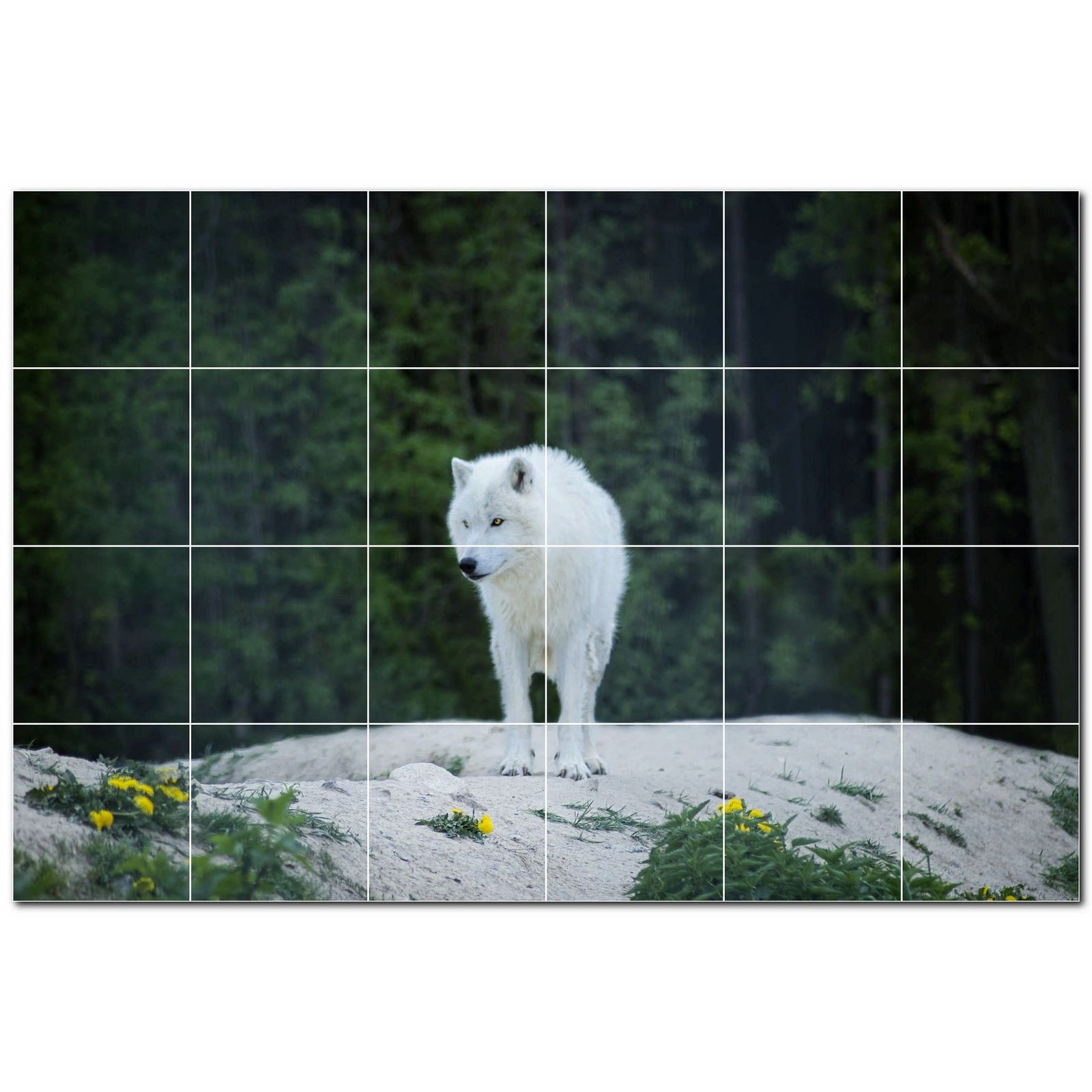 Wolf Ceramic Tile Wall Mural PT501237. 36" W x 24" H (24) 6x6 tiles | eBay