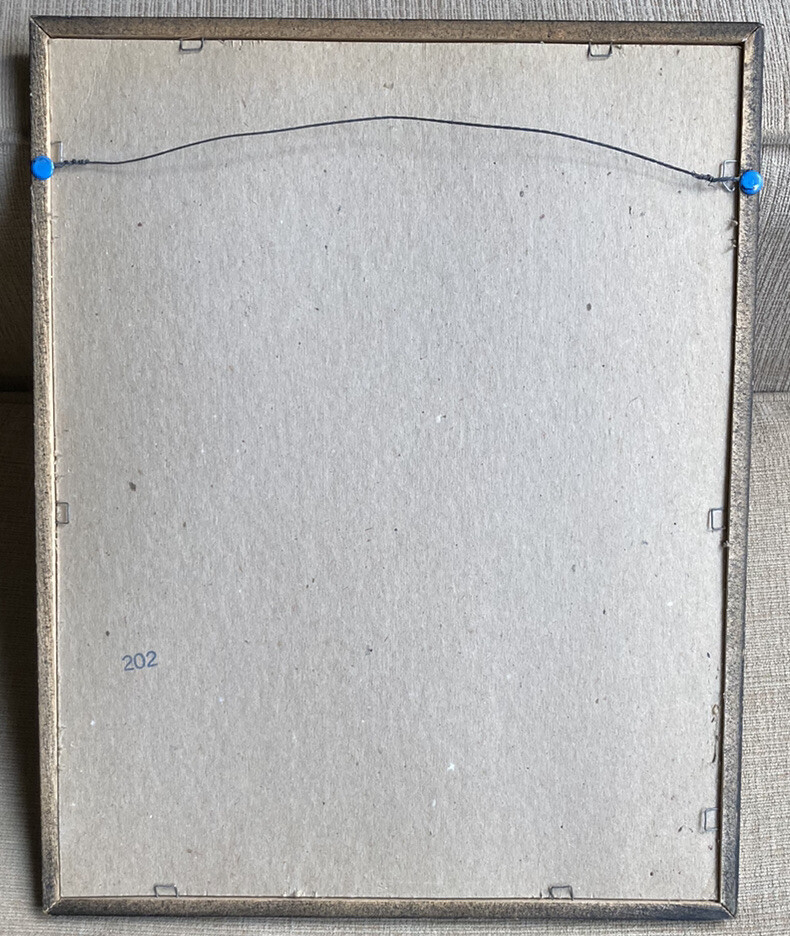 RARE Blue & Yellow Macaw Bird Signed Framed Art Print Artist Eric Peake ...