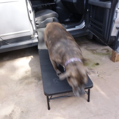 Original 4 Paws Portable Folding Dog Platform - The Alternative to ...