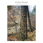 "Forrest Stump" Concrete Whimsical Forest Face by Dorina Zieske Art | eBay