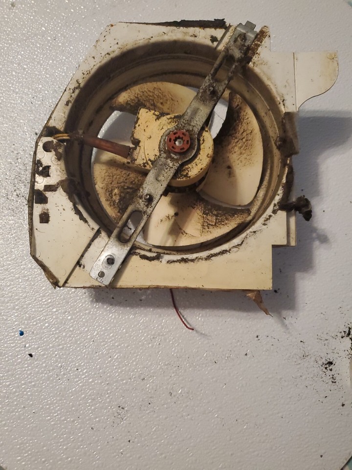 197D2407P016 DLB5985GECA WR60X10155 GE REFRIGERATOR FAN MOTOR OEM | eBay