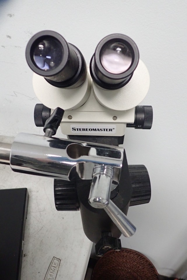 Fisher Scientific StereoMaster Zoom Microscope with Illuminated Boom ...