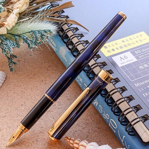 Pilot Fountain Pen Cavalier Fine Refillable Black & Blue FCAN-5SR-BLF ...