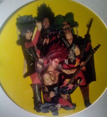 RARE 1983 PRIVATE PICTURE DISK "THE WILD" CRAZY WILD HEAVY METAL BAND 4 ...