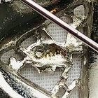 Vintage Heart Pave Rhinestone Moose Brooch Pin Signed Ora Figural ...