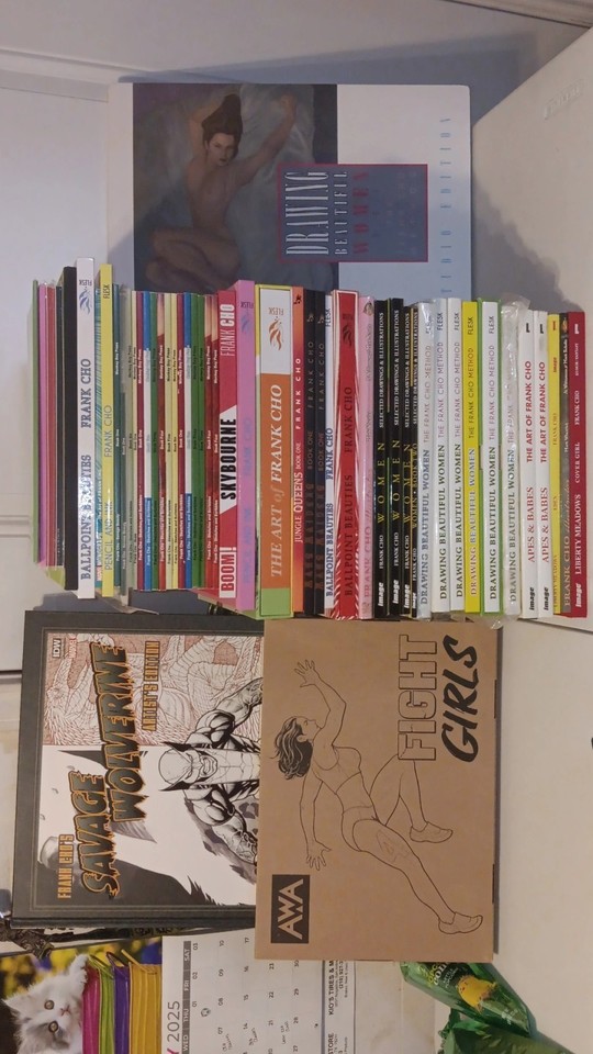 Frank Cho Inspired Powergirl Anissa Invincible Comic Sketch Cover DC ...