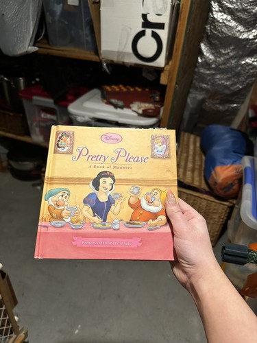 Disney Princess Pretty Please : A Book of Manners by Kiki Thorpe and ...