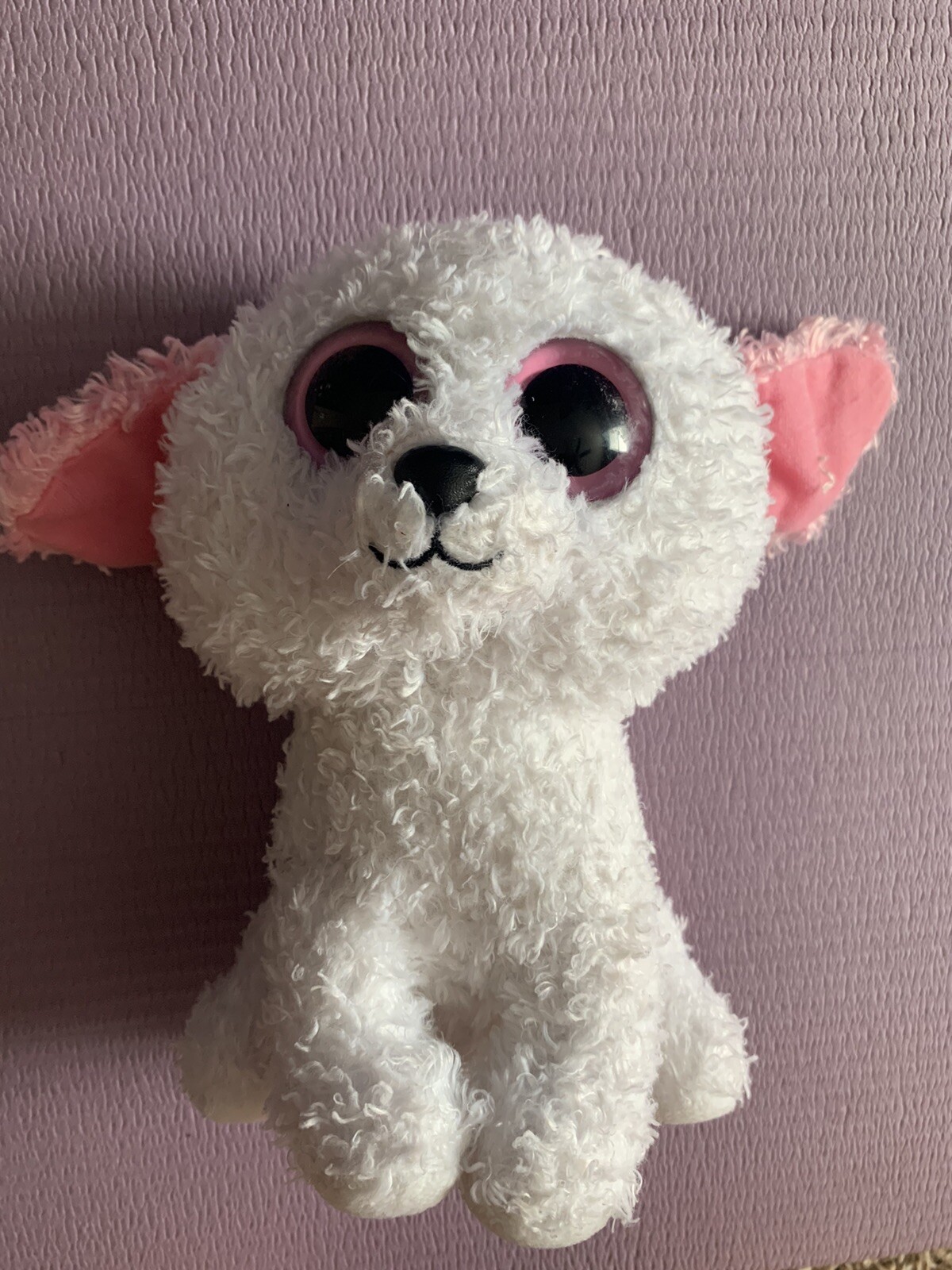 Ty Diva Beanie Boo White Dog 10" Buddy Beanie Buddy Pink Bichon Frise ...