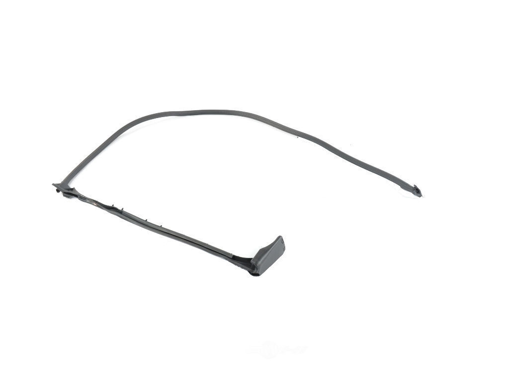 Side Glass Weatherstrip-Base, VIN: G, 136.0" WB Mopar 68229641AD for ...