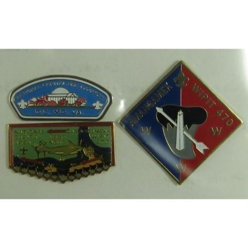 OA Amanquemack Lodge 470 Flap Pin National Capital Council CSP Pin ...