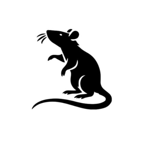 Standing Rat Vinyl Decal Sticker Car Truck Window Laptop Rodent Mouse ...