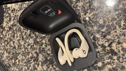 Beats by Dr. Dre Powerbeats Pro Wireless Earphones Ivory/White | eBay